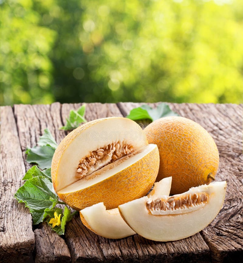 Melon with Slices and Leaves Stock Photo - Image of round, ripe: 27756972