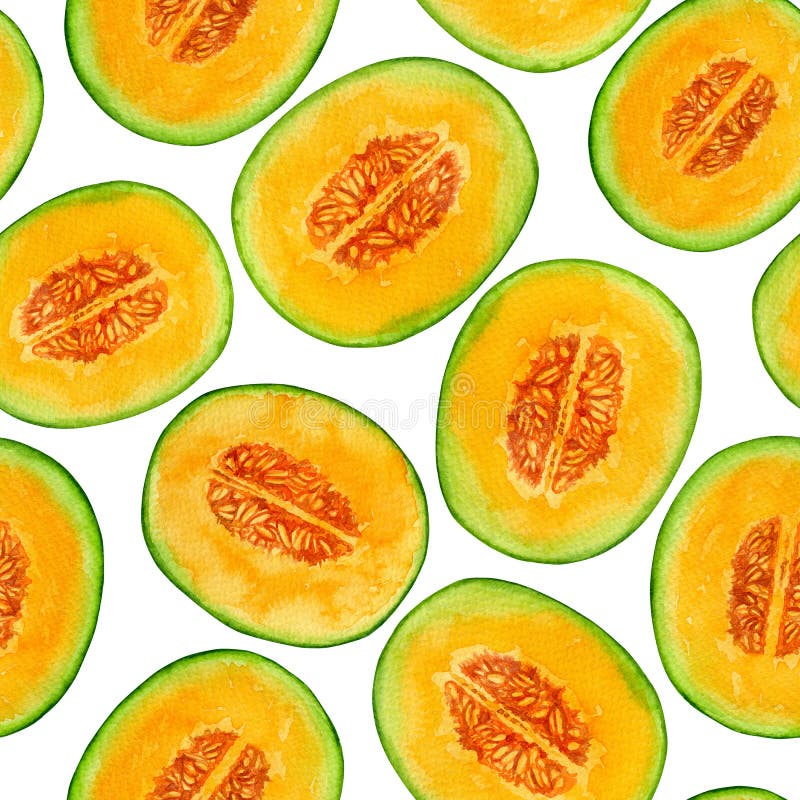 Melon Slices Watercolor Pattern Stock Illustration - Illustration of ...
