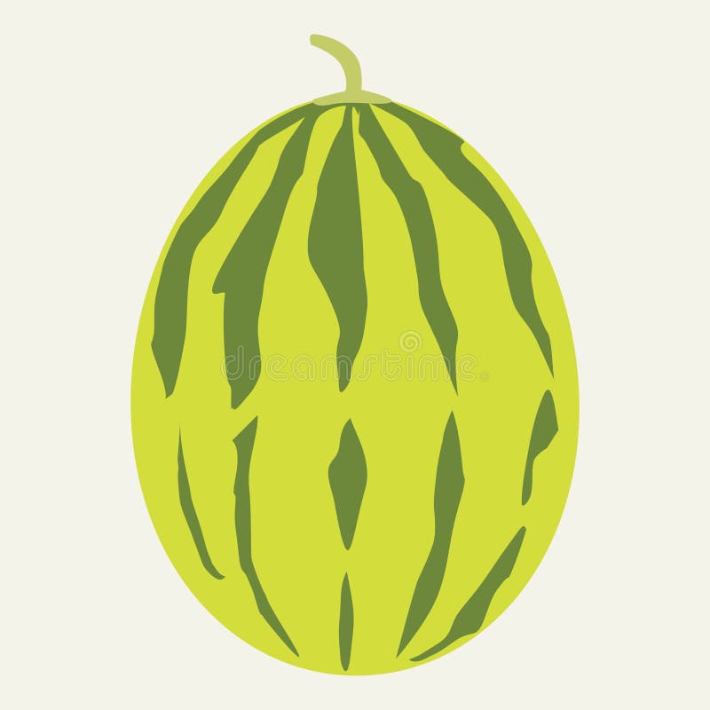 Melon Vector Illustration stock vector. Illustration of food - 104403970