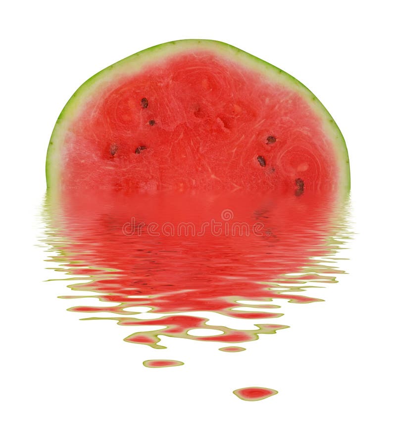 Melon on Water stock photo. Image of color, juice, isolated - 6105600