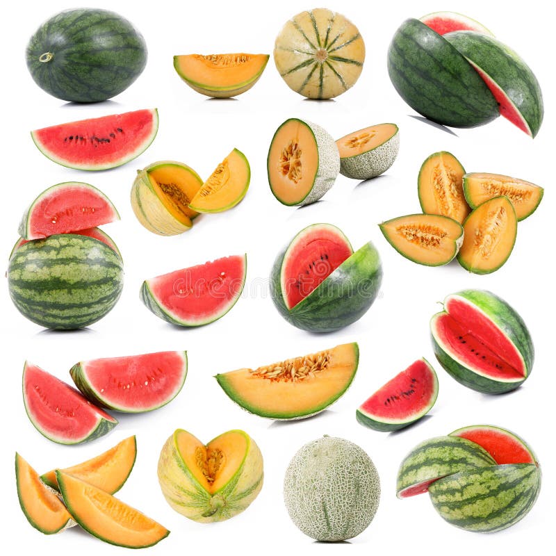 Cat And Watermelon Collage, Pop Art Concept Design. Minimal Vibrant ...