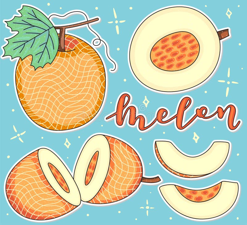 Melon Calligraphy Stock Illustrations – 388 Melon Calligraphy Stock ...