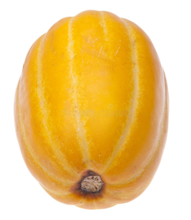Melone giallo del Rainbow fotografia stock. Immagine di organico - 13302880