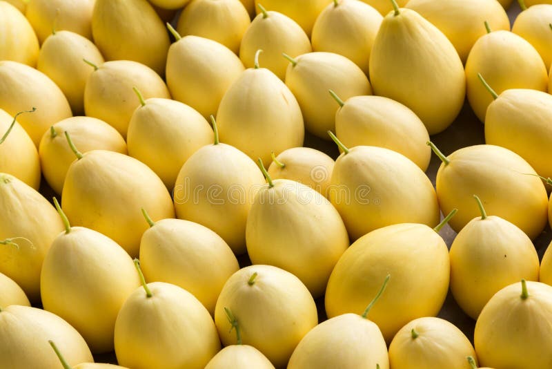 Melone giallo della pelle immagine stock. Immagine di cantalupo - 97852463