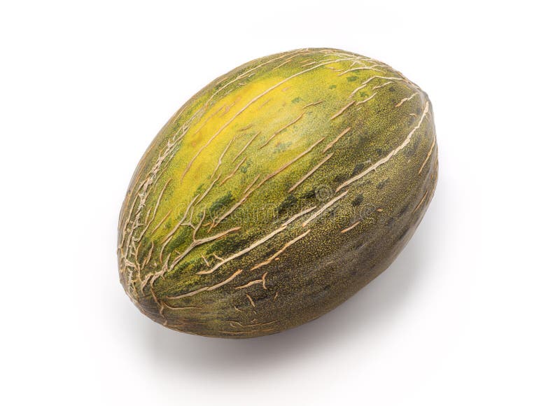 Melone Verde Del Cantalupo Isolato Su Bianco Immagine Stock - Immagine ...