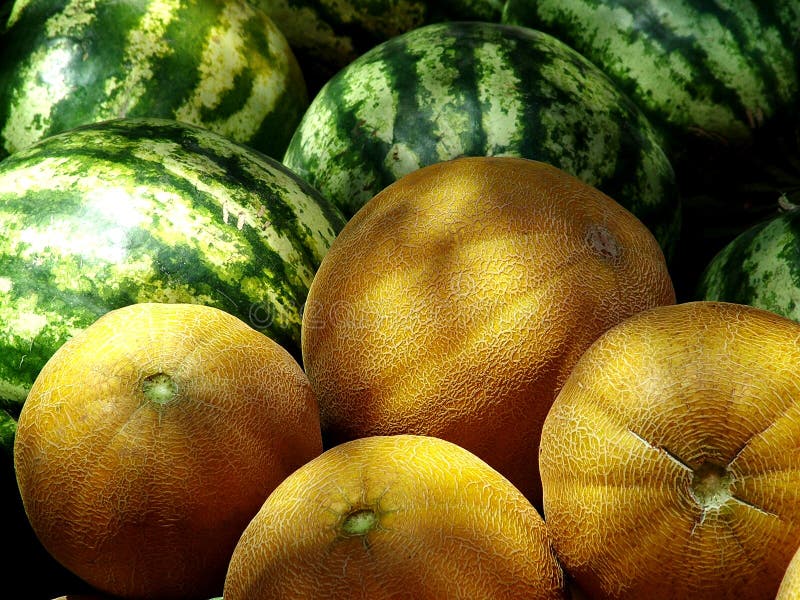 Melonen stockbild. Bild von truthahn, farbe, melonen, hintergrund - 182967