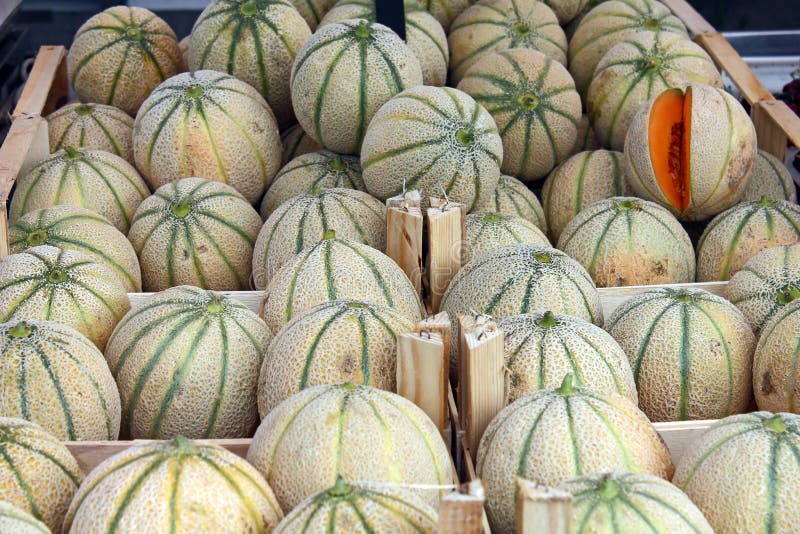 Melonen stockfoto. Bild von mittelmeer, gesund, betrieb - 15439618