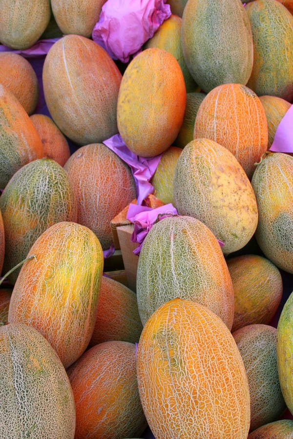 Melonen stockfoto. Bild von markt, frucht, melone, grün - 5952390