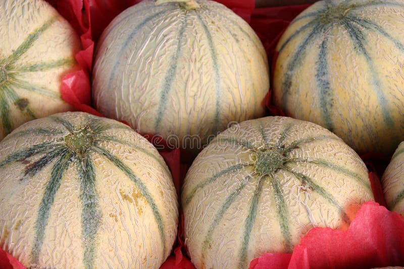 Melons stock photo. Image of order, melons, fruit, nutrition - 225248