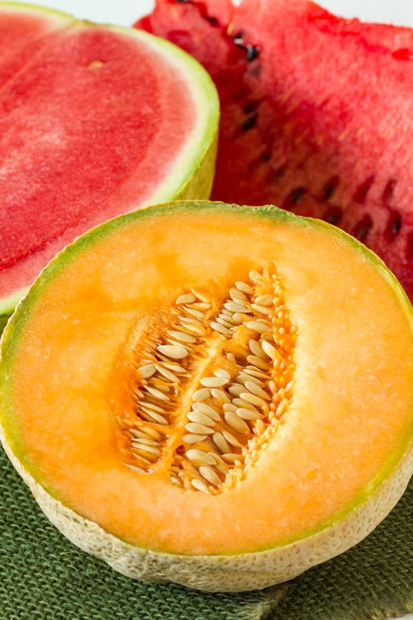 Melons, close up stock photo. Image of watermelon, green - 75804466