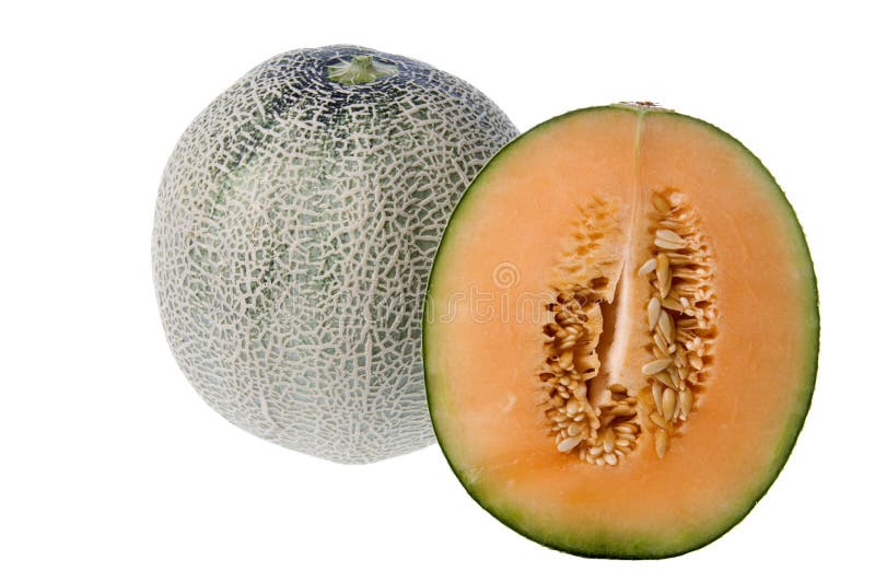 Macro De La Peau De Melon Cantaloup Photo stock - Image du savoureux ...