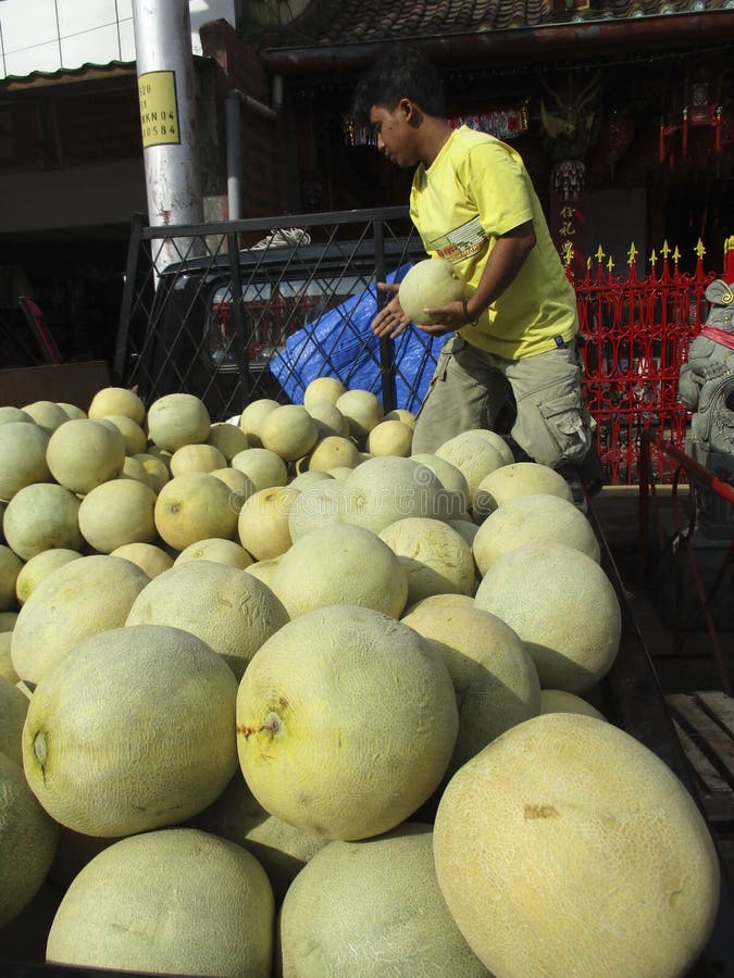 Melons editorial photo. Image of solo, central, market - 73692066