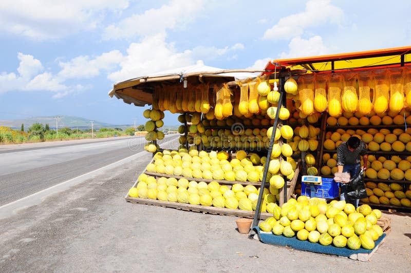 Melons at market stock photo. Image of market, arrangement - 18428546