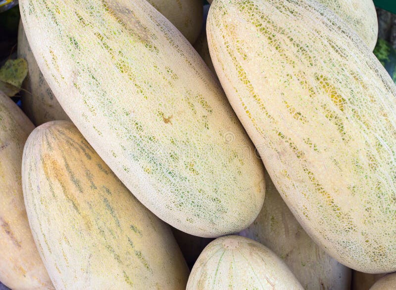 Oval Melons Stock Photos - Free & Royalty-Free Stock Photos from Dreamstime
