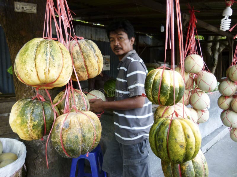 Melons editorial stock photo. Image of gourd, vegetable - 73089658