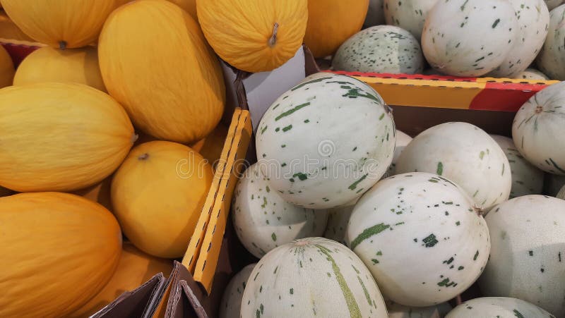 Organic Melons in the Supermarket, Close-up Stock Photo - Image of ...