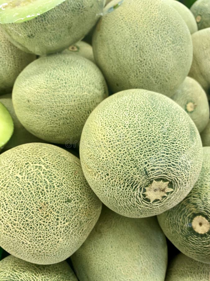 Melons in the Supermarket Look Nice and Detailed Stock Photo - Image of ...