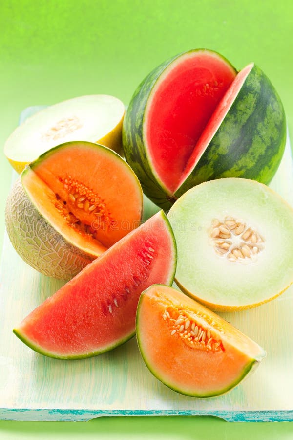 Melons and watermelon stock photo. Image of fruit, ball - 24731520