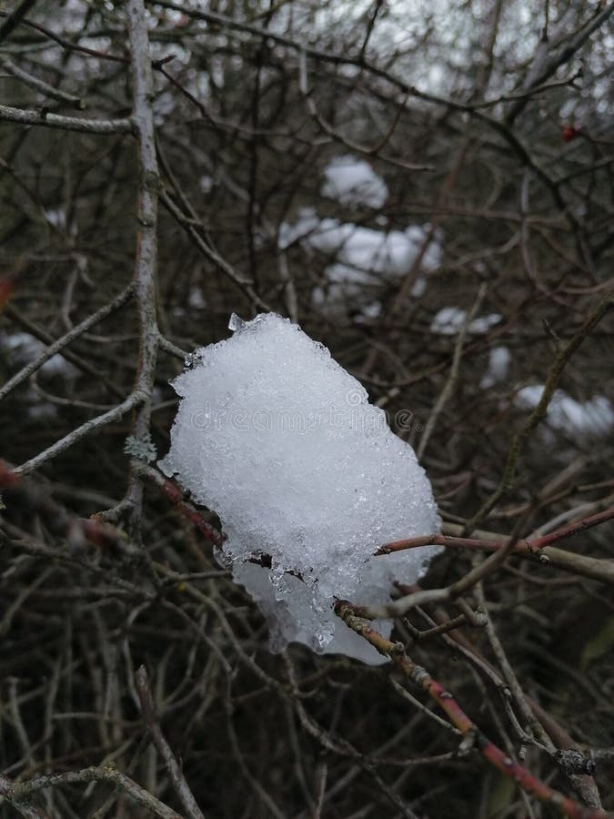 Melt snow stock image. Image of nature, winter, freezing - 207675361