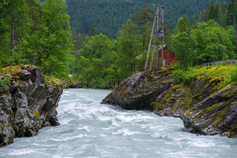 Melt water river stock image. Image of white, trees - 258173205