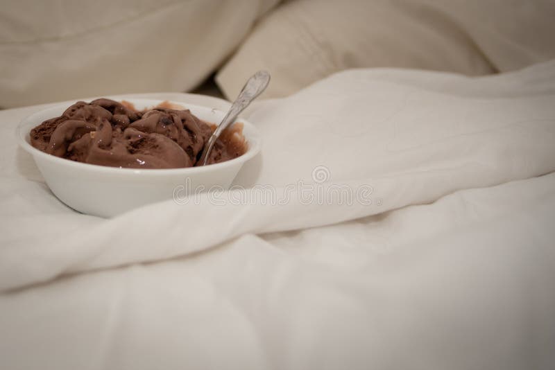 Melted Bowl of Ice Cream stock photo. Image of people - 219444662
