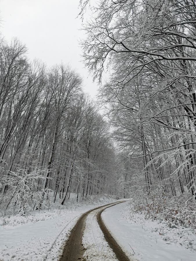 The Melted Road in a Cold Freezing Winter Day Stock Image - Image of ...