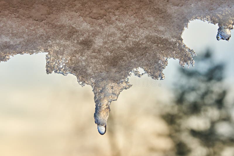 Melted Snow is Dripping from the Roof. Spring Traditional Weather Stock ...