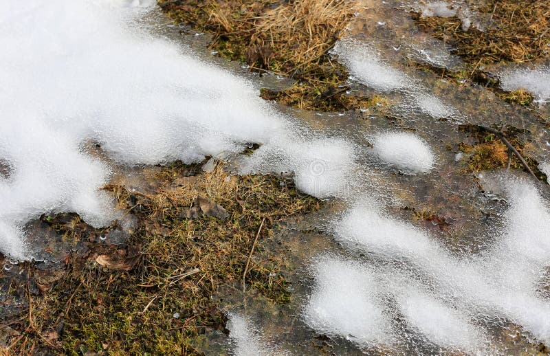 Melted snow on the grass stock photo. Image of abstract - 247276796