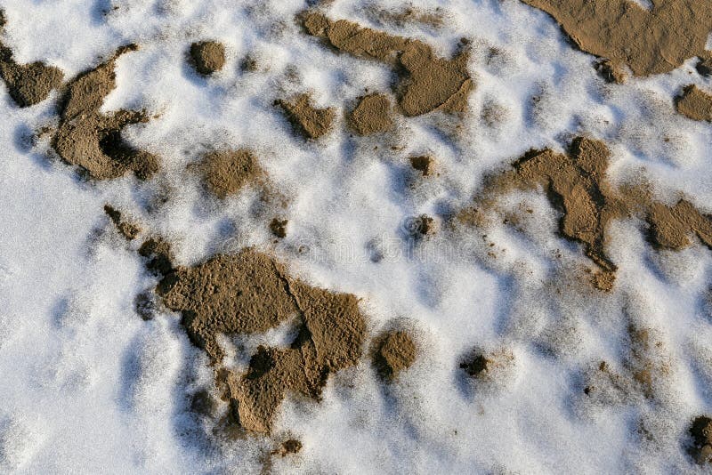 Melted snow on soil stock photo. Image of pattern, white - 67477018