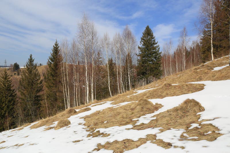Melted Snow on Spring Mountain Meadow Stock Photo - Image of mountain ...