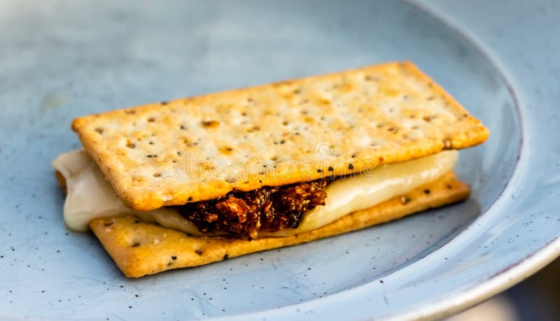 Melted White Cheddar Cheese on a Multi Grain Cracker with Birch Bacon ...