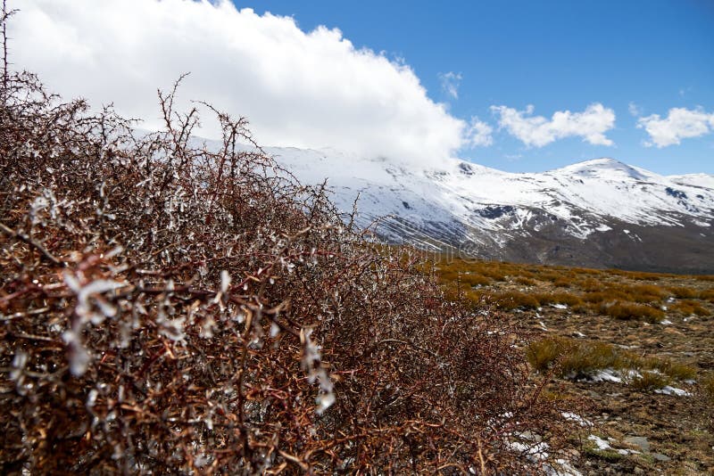 Melting Ice with Mountains in the Background Stock Photo - Image of ...