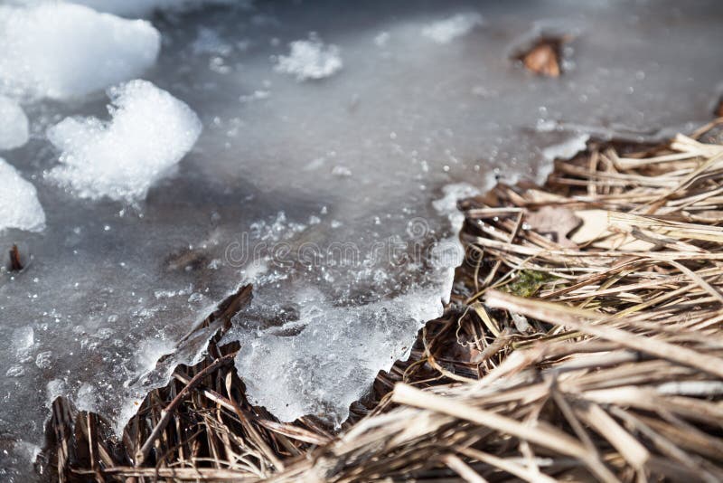 Melting Ice stock photo. Image of frost, grass, outdoor - 75636144