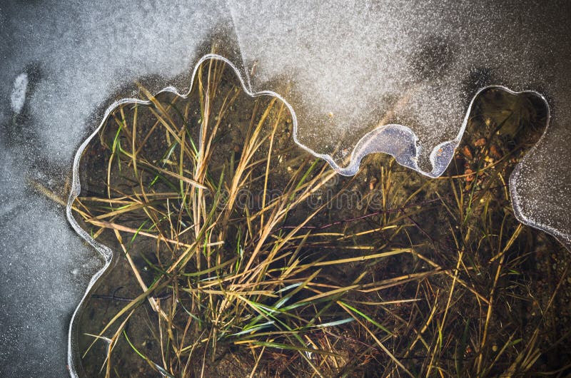 Melting Ice on a Pond in Spring Stock Photo - Image of frozen, natural ...