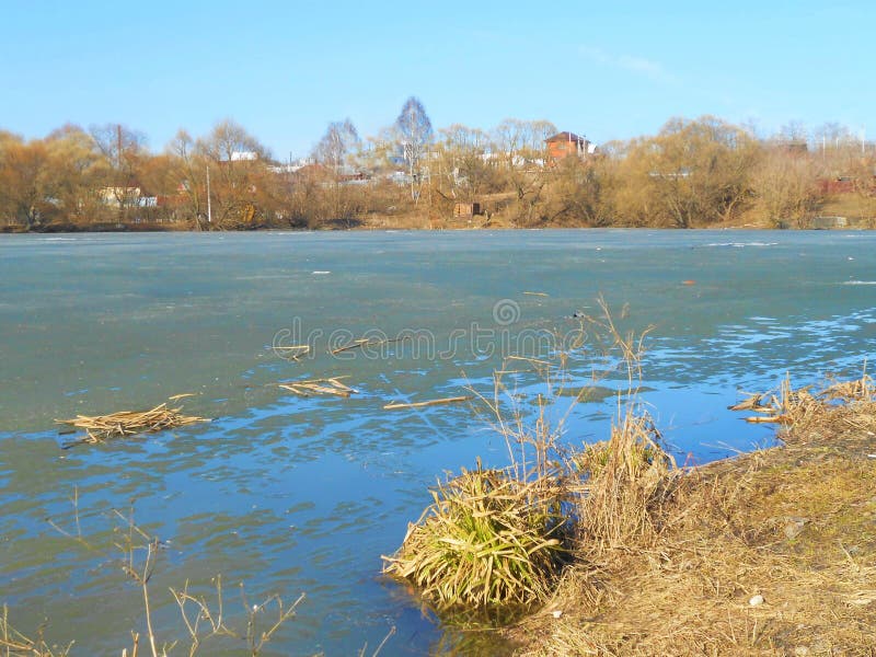 Melting Ice on the Rural Pond. Stock Image - Image of woods, trees ...