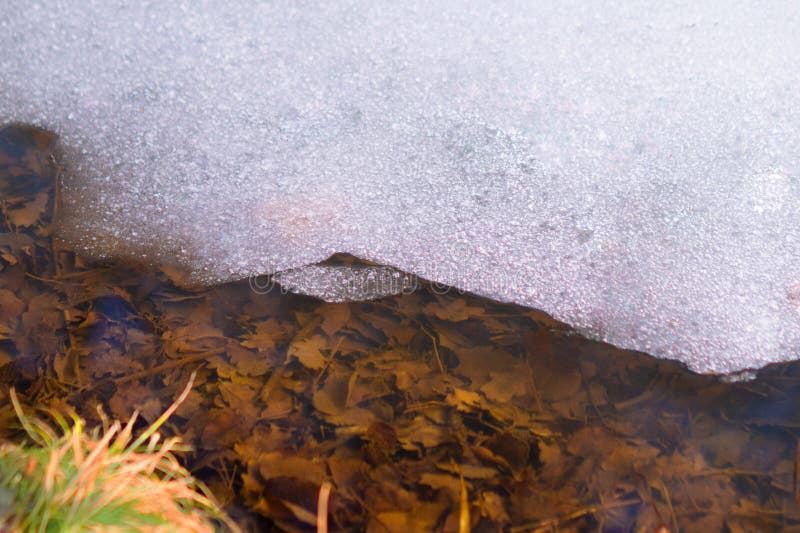 Melting Ice on the Surface of the Water with a Thick Layer of Leaves ...