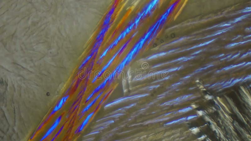 Melting Ice Under Polarized Light Microscope Stock Video - Video of ...