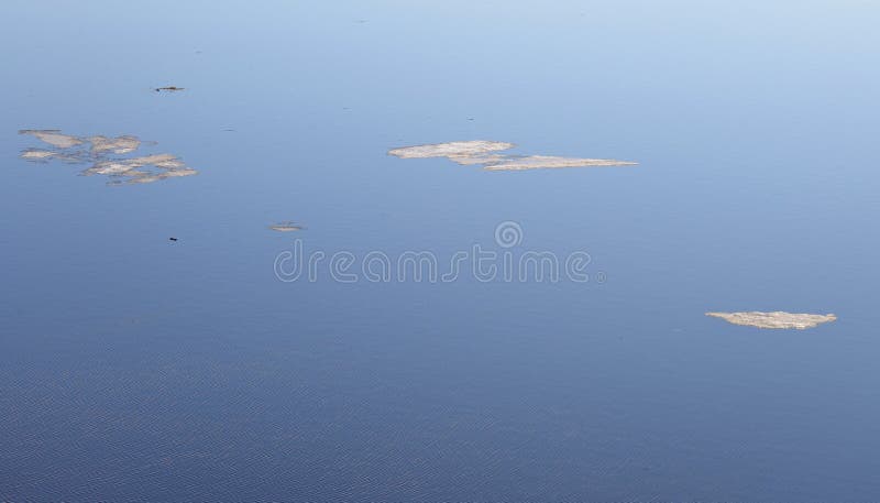 Melting Ice on the Water at Sunny Day Stock Photo - Image of cold ...