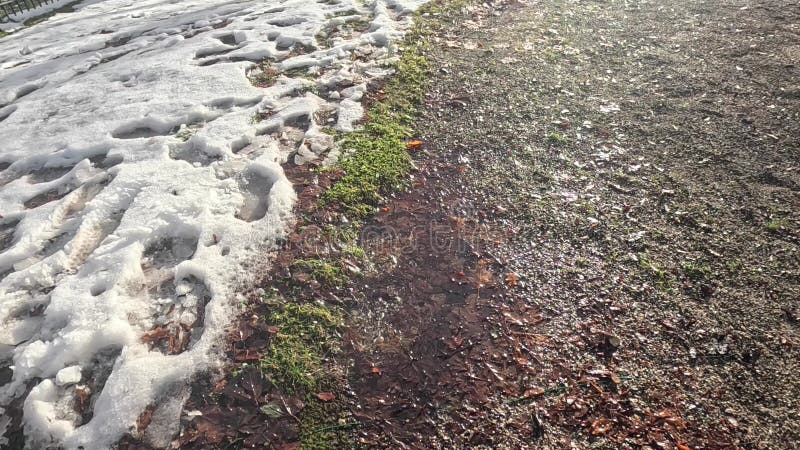 Melting Snow with Drops of Water Dripping Stock Footage - Video of ...