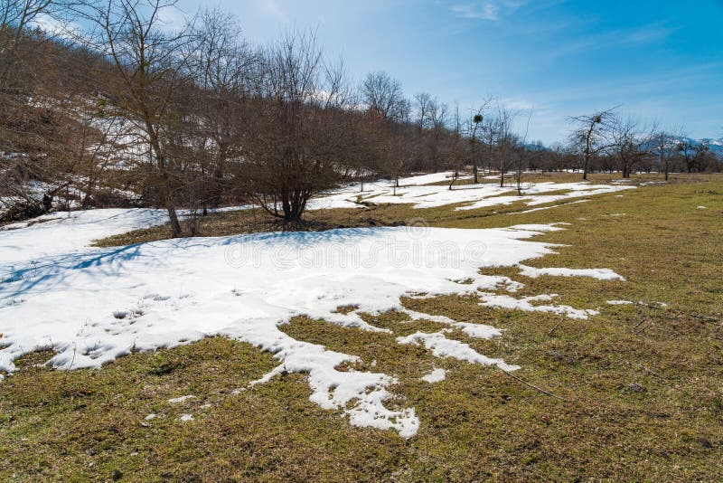 Melting Snow in Early Spring and the First Thaw Stock Photo - Image of ...