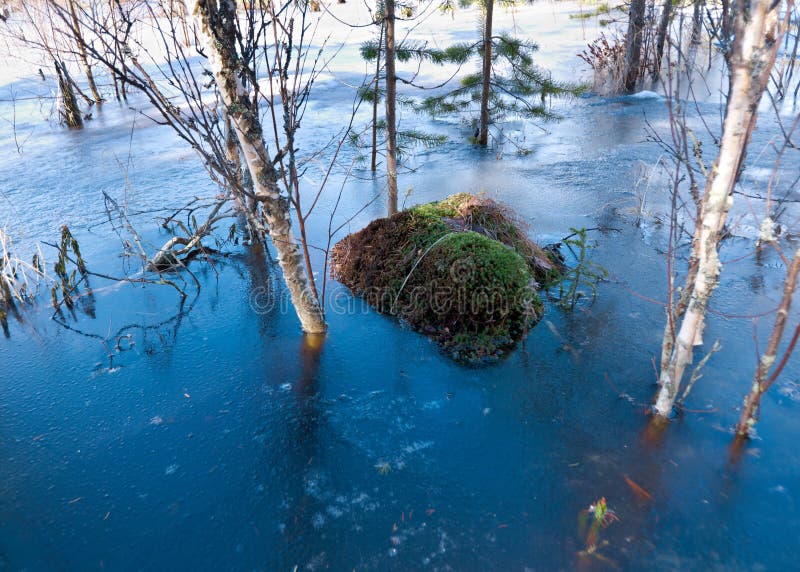 Melting Snow in Forest in Early Spring Stock Photo - Image of lake ...