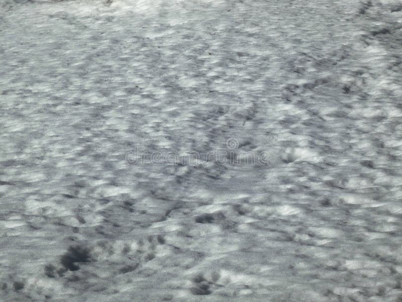 Melting Snow in the Front Yard Stock Image - Image of frost, white ...