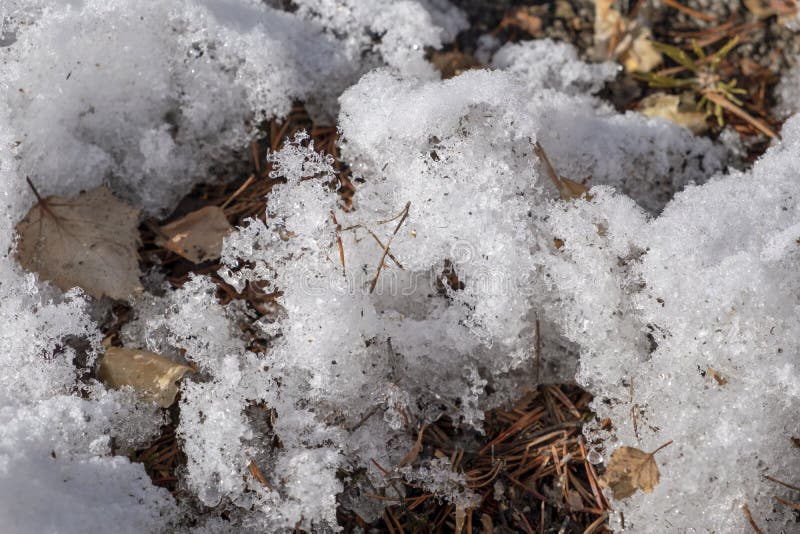 Melting Snow with Ice Hummocks Background. Spring Background. Nature ...