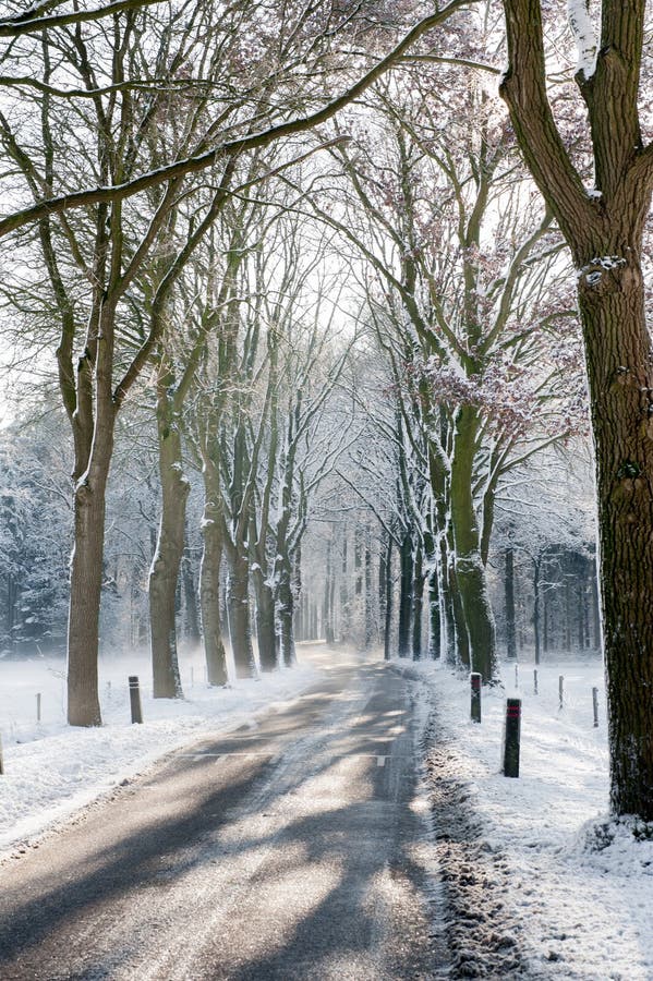 Melting snow stock image. Image of scene, destination - 30980733