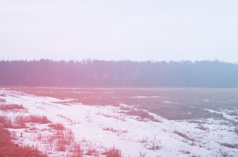 Melting Snow on Russian Field Landscape Background Hd Stock Photo ...