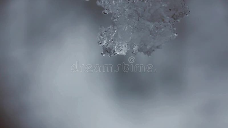 Melting Snow on Building Roof Creating a Dangerous Winter and Climate ...