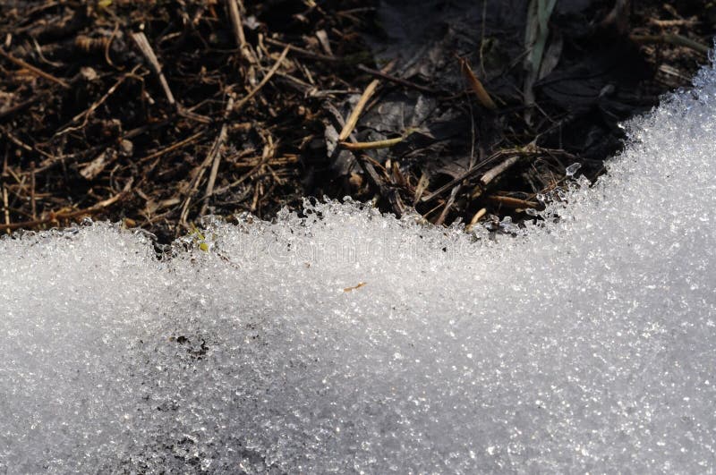 Melting snow stock photo. Image of snow, granular, frost - 53190346