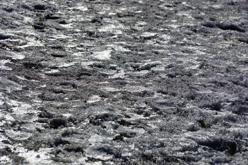 Seamless Winter Grass Texture Stock Photos - Download 79 Royalty Free ...