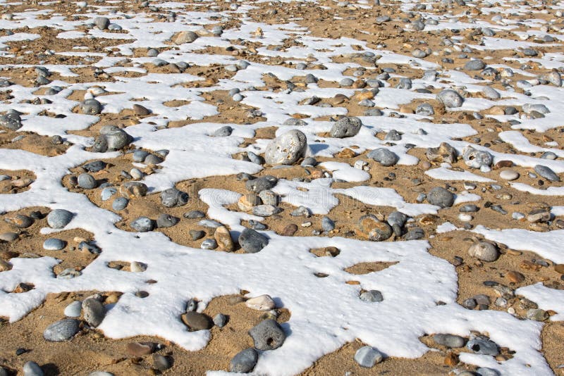 Melting ice on winter tree stock image. Image of pretty - 164754781