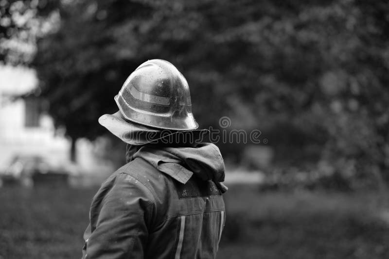 Member of the fire brigade editorial photography. Image of profession ...